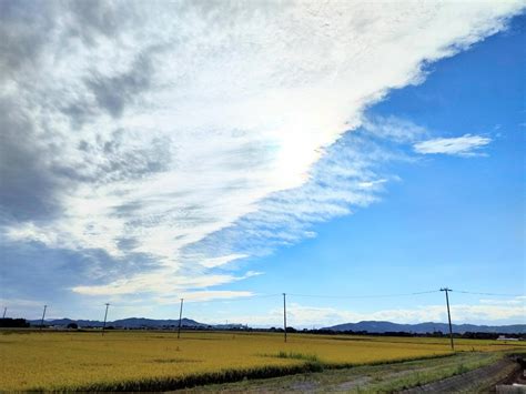 仙台藤崎百貨店【公式】 On Twitter 羽生結弦展 も本日で折り返し 残すところ7日間となりました😌 市街地から離れるとすぐ田んぼ