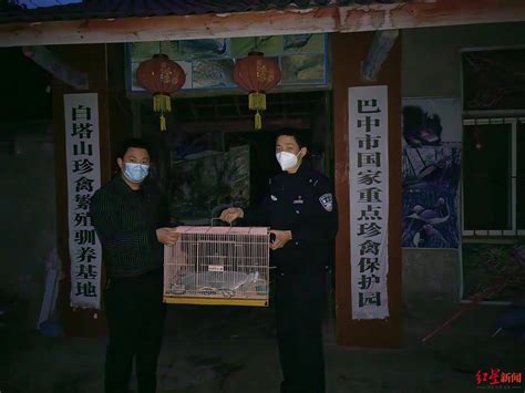 大鸟受伤飞落山林 巴中警方接警赴现场救助，竟是国家二级保护动物苍鹭