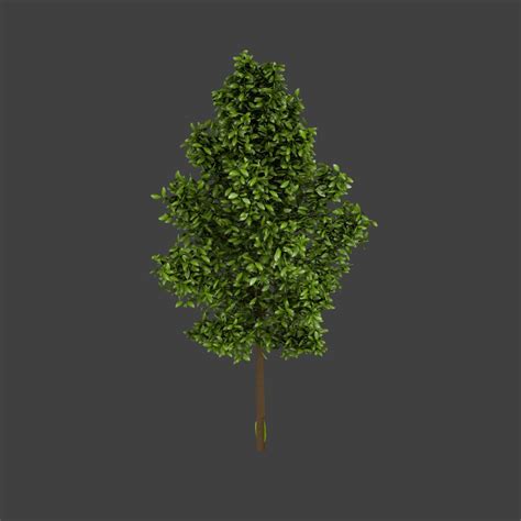 sapling a tree generator add on for blender osx fix 10 aug 2011