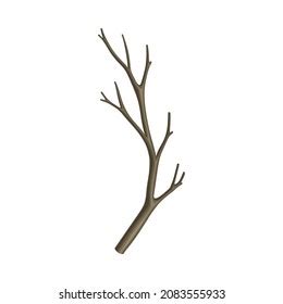 Bare Tree Branch Twigs Naked Stem Stock Vector Royalty Free