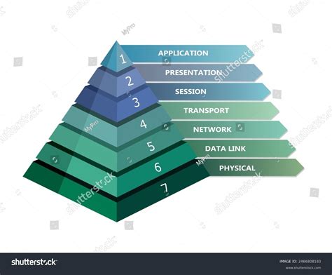 7 Layer Osi Network Model Presented Stock Vector Royalty Free 2466808183 Shutterstock