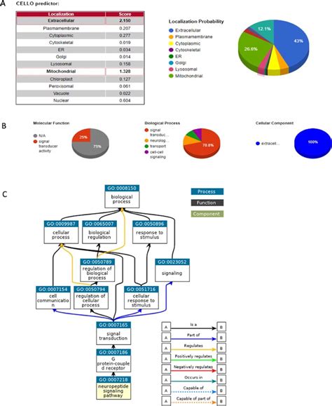 A Predicted Subcellular Localization Of The Gnih Protein The Highest Download Scientific