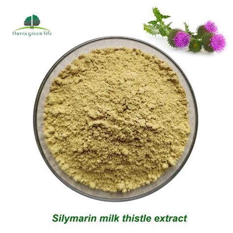 China Organic Silymarin Milk Thistle Extract Manufacturers Factory