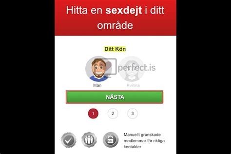 Swedish Recension 2025 Perfekt Eller Bluff