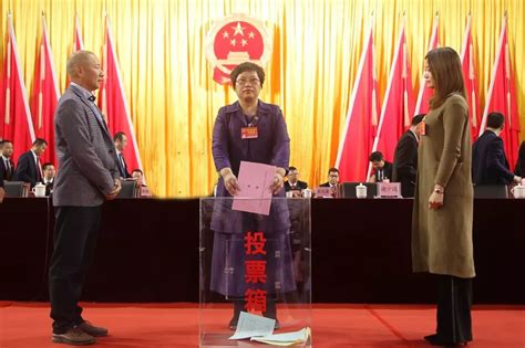 市十五届人大五次会议胜利闭幕澎湃号·政务澎湃新闻 The Paper