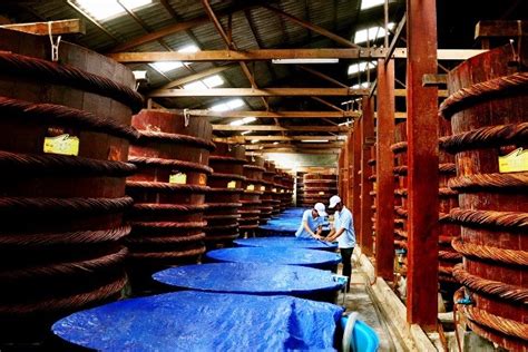 Vinh Danh Nghề Làm Nước Mắm Phú Quốc Là Di Sản Văn Hóa Phi Vật Thể