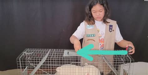 How To Measure A Tnr Trap Make A Sewing Pattern And Sew Tnr Trap Cover