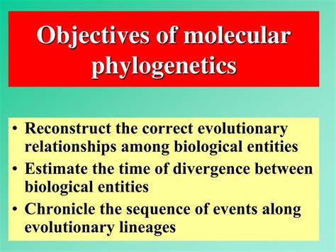 Ppt Molecular Phylogenetics Powerpoint Presentation Free Download