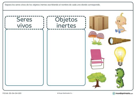Seres Vivos Y Objetos Inertes Ciencias Naturales Seres Vivos