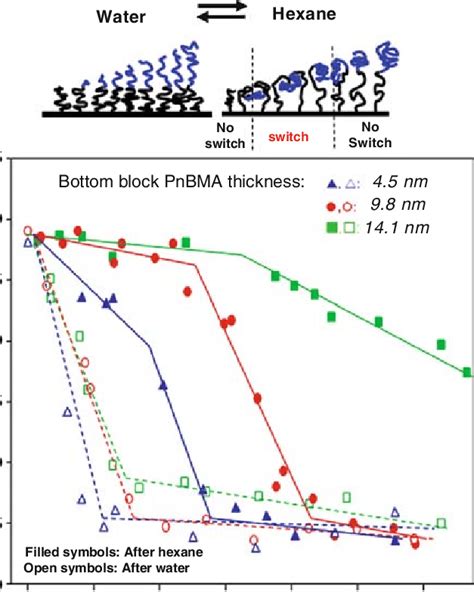 Surface Expression Of Block Segments In Block Copolymer Gradient Surface Expression Of Block Segments In Block Copolymer Gradient