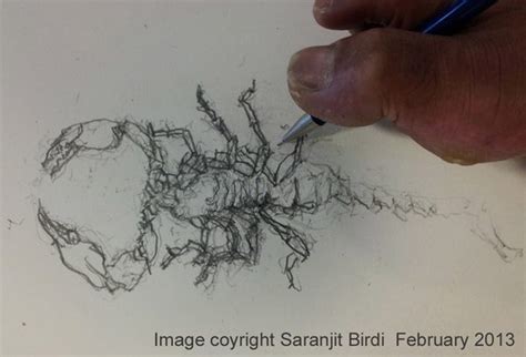 Axis Drawing Cognition And The Human Biped Collaboration With