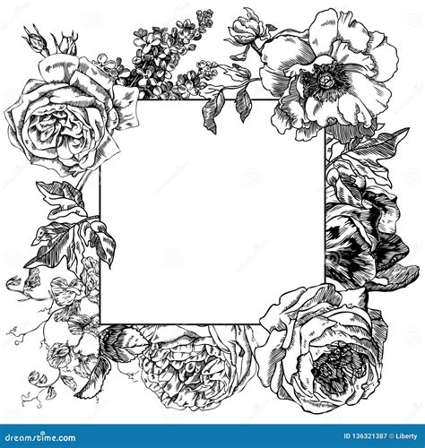 Rose Linedrawing In Color Drawing White Backgroun From Generative Ai
