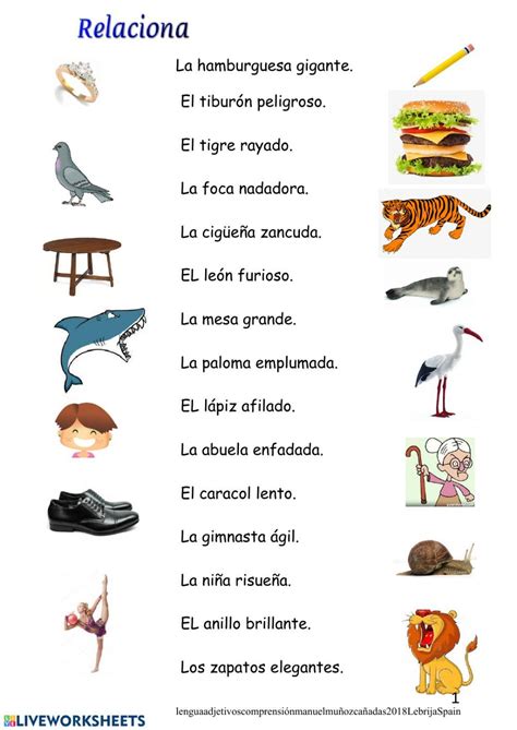 Ejercicio De Relación Entre Sustantivo Y Adjetivo Sustantivos Y