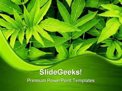 Green Leaves Nature PowerPoint Themes And PowerPoint Slides