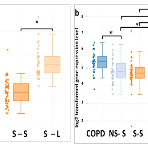 Patterns Of Expression Of The Abca1 Gene In Alveolar Macrophages