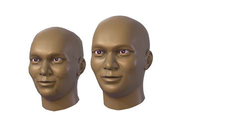 Subdivision 3d Model Bald Mans Head Buy Royalty Free 3d Model By