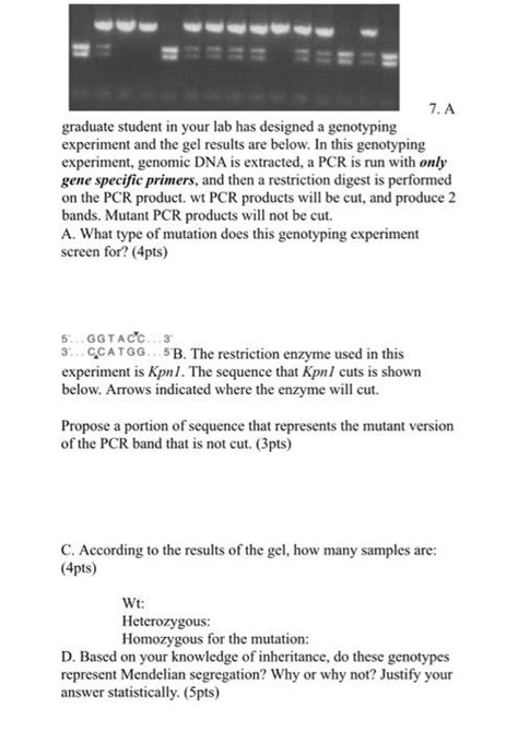 Solved 7 A Graduate Babe In Your Lab Has Designed A Chegg Com