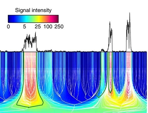 Multiscale Methods Thorsson Shmulevich Lab At The Institute For