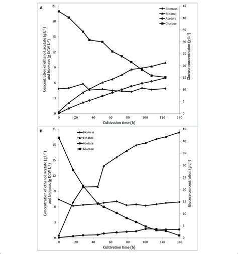 Glucose Ethanol Acetic Acid • And Biomass During The