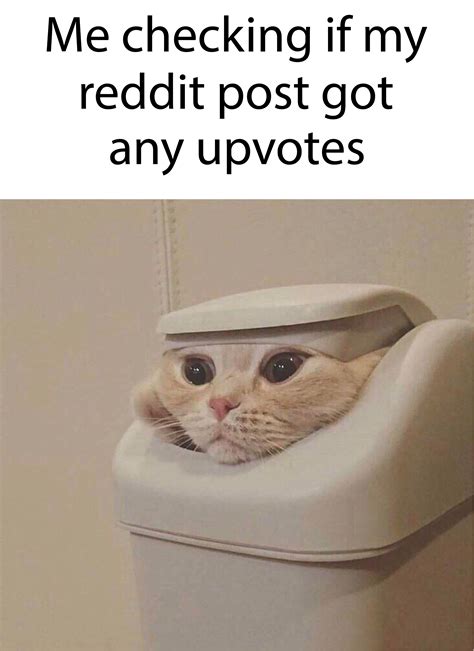 Dunno If This Has Been Done Yet R Memes