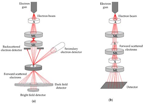 Sem And Tem Microscopes