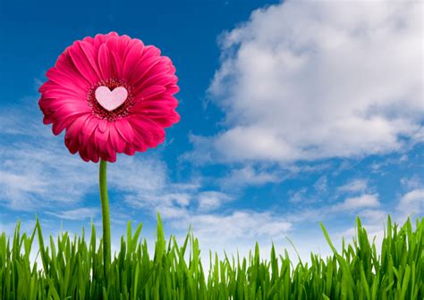 Tablas de esmeraldas Amor y Luz Voluntariado Teosófico OTS