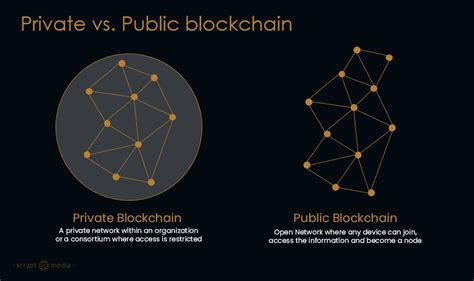 Decoding The Battle Between Blockchain Public Vs Private Showdown
