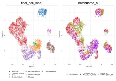 ATAC Dataset Mouse Brain Atac Peaks Small