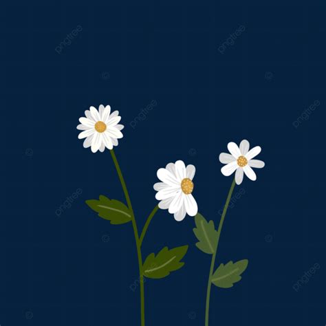 흰색 데이지 그림 Diy 하얀색 꽃 Png 일러스트 및 Psd 이미지 무료 다운로드 Pngtree