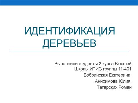Identifikatsia Derevyev 1 презентация онлайн