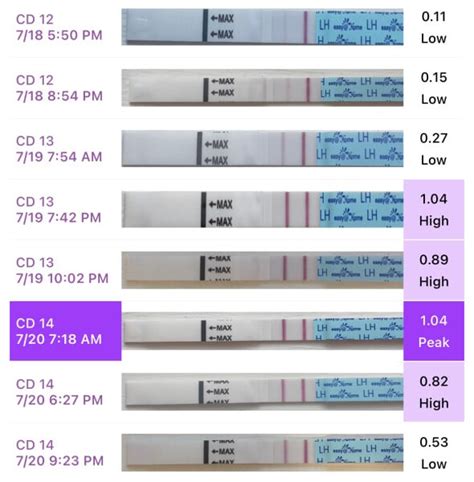 Premom Ovulation Test Examples At Levi Gether Blog
