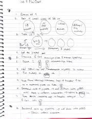 Bio 2 Lab 7 Flowchart Pdf L Ti O I 5 G QY L I C Rkc 1