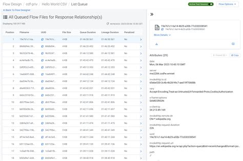 Verifying Flow File Content