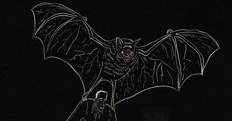 कोरोना के बाद भारत में चमगादड़ के वायरस का आतंक जानें कैसे इंसान को बना रहा अपना शिकार Fruits