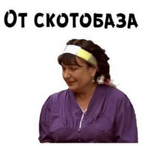 Sticker Maker - Сваты №2