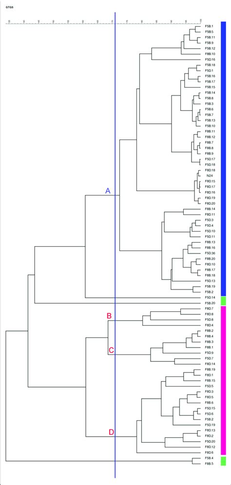 Dendrogram Generated After Cluster Analysis Of The Digitized Gtg