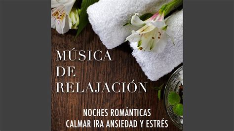 Piano Concerto No21 In C Major K467 Youtube Music