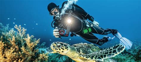 The Essential Guide To Choosing The Best Dive Torch