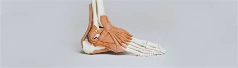 David Tomback Optum Caremount 0 Reviews Healthcare In Mt Kisco Ny Birdeye