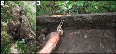 Figure S1 Photographs Illustrating The Various Sampling Methods Used Download Scientific