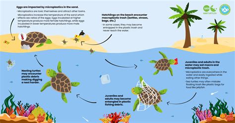 Reduce Plastic — Travelers Against Plastic
