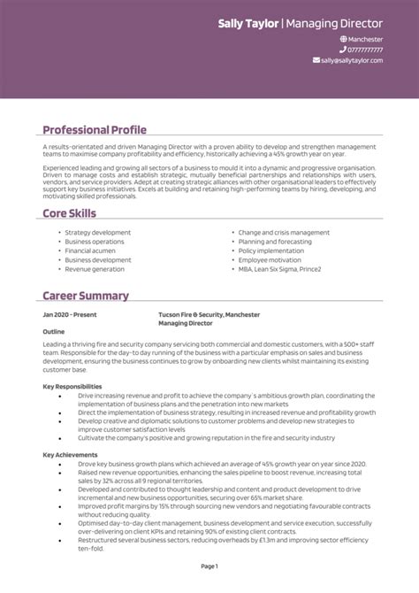 6 Executive Cv Examples 2025 Expert Guide [land Top Jobs]