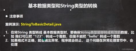 String转基本类型细节 Csdn博客