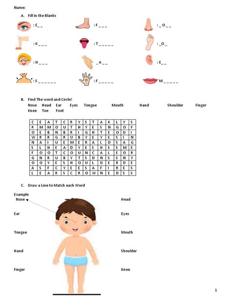 body parts exercise pdf human anatomy