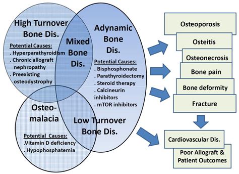 adynamic bone disease