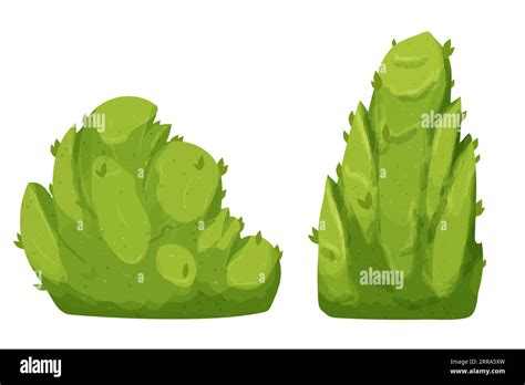 Hedge Green Bush Forest Or Backyard Plant With Leaves In Cartoon Style