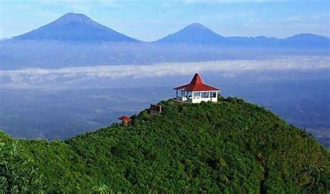 5 Misteri Gunung Andong Yang Mengerikan Misteri Fakta Dan Fenomena