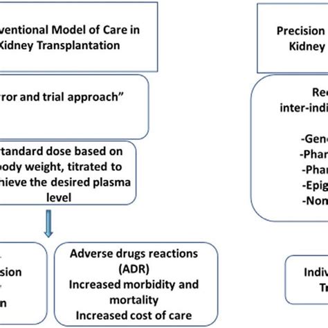 Recognition Of Interindividual Differences Is Becoming Possible Through Download Scientific