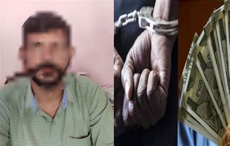 बिग ब्रेकिंग विजिलेंस ने रिश्वत लेते रंगे हाथों पटवारी किया गिरफ्तार
