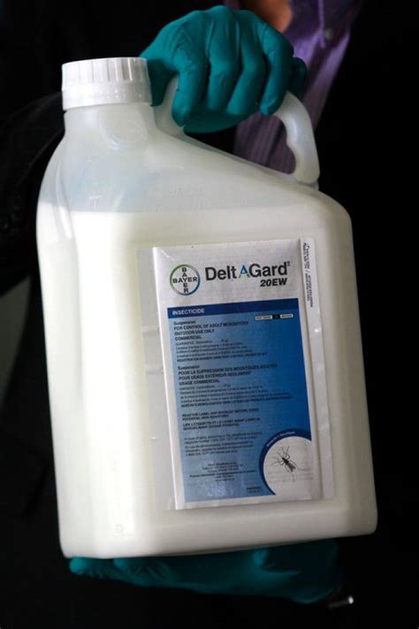 The Winnipeg Free Press Store